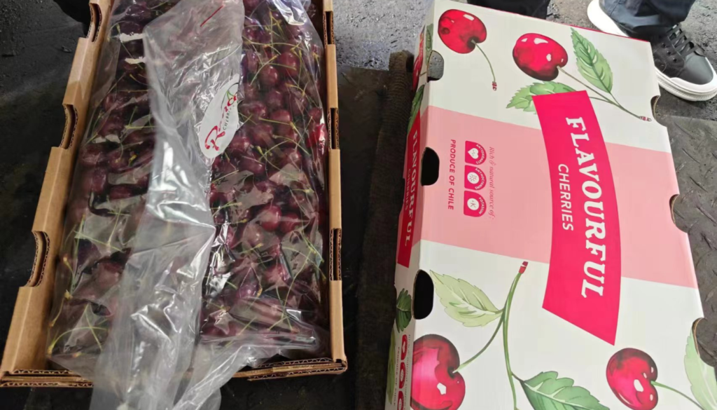 Reportaje: «La historia de la producción de cerezas en Chile» – Multiply
